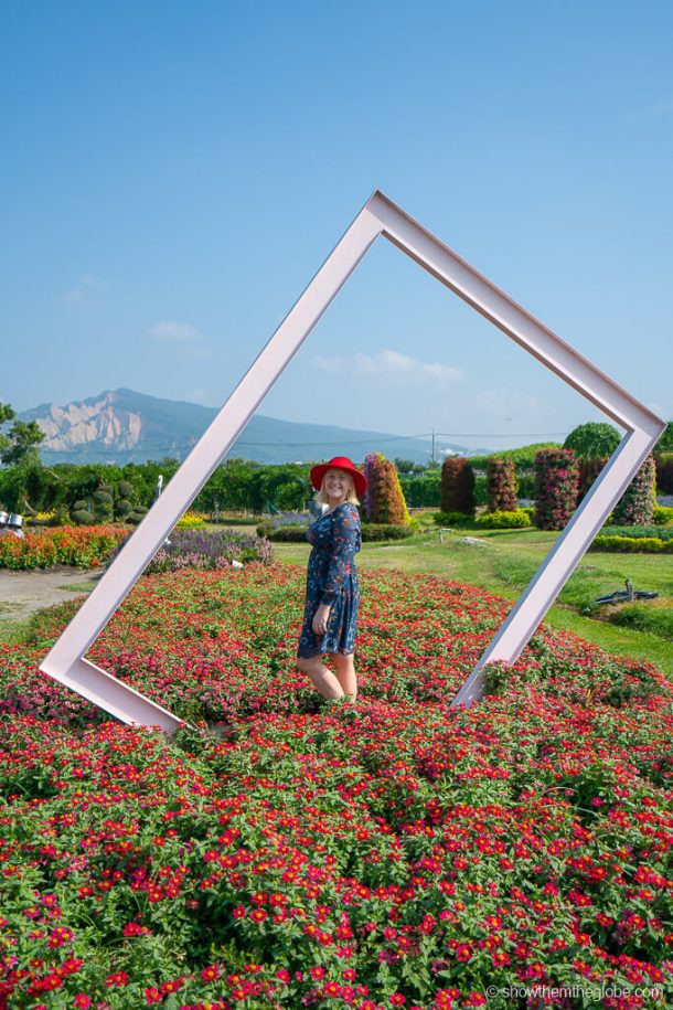 How to visit Zhongshe Flower Market in Taichung, Taiwan | Show Them The ...